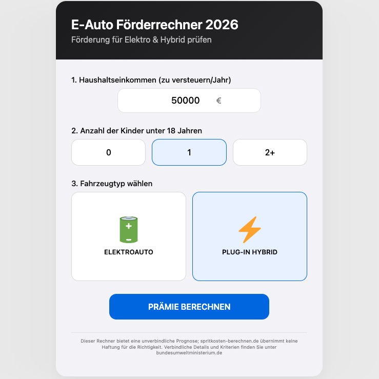 E Auto Rechner